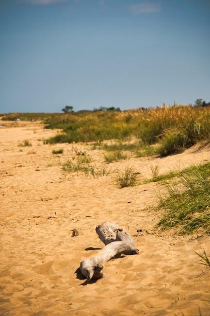 Virginia 30-Day Notice to Vacate: Free PDF Template!